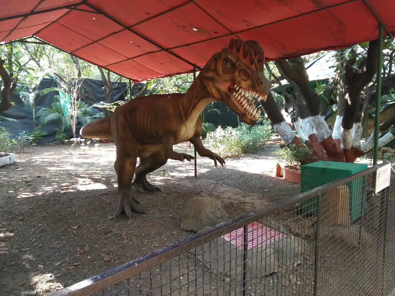 Tikuji NI Wadi Fun Resort for Family and Freinds - Travel And Food Blogger