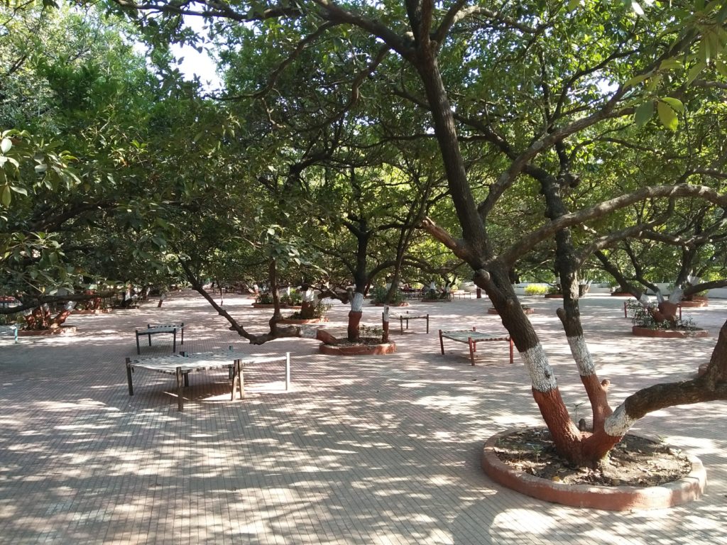 Tikuji NI Wadi Fun Resort for Family and Freinds - Travel And Food Blogger