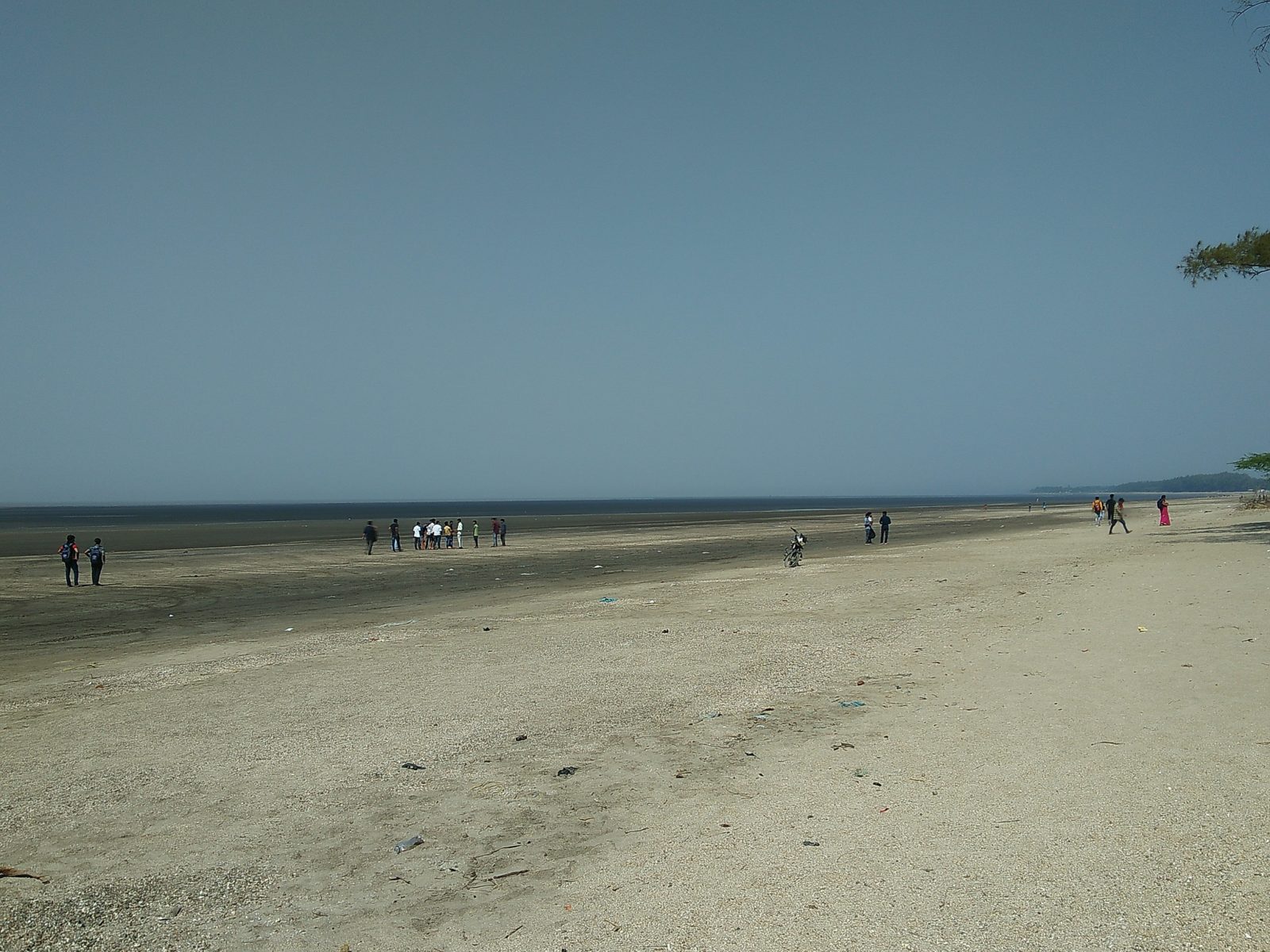 Chikoo Festival Bordi 2020 - Travel And Food Blogger